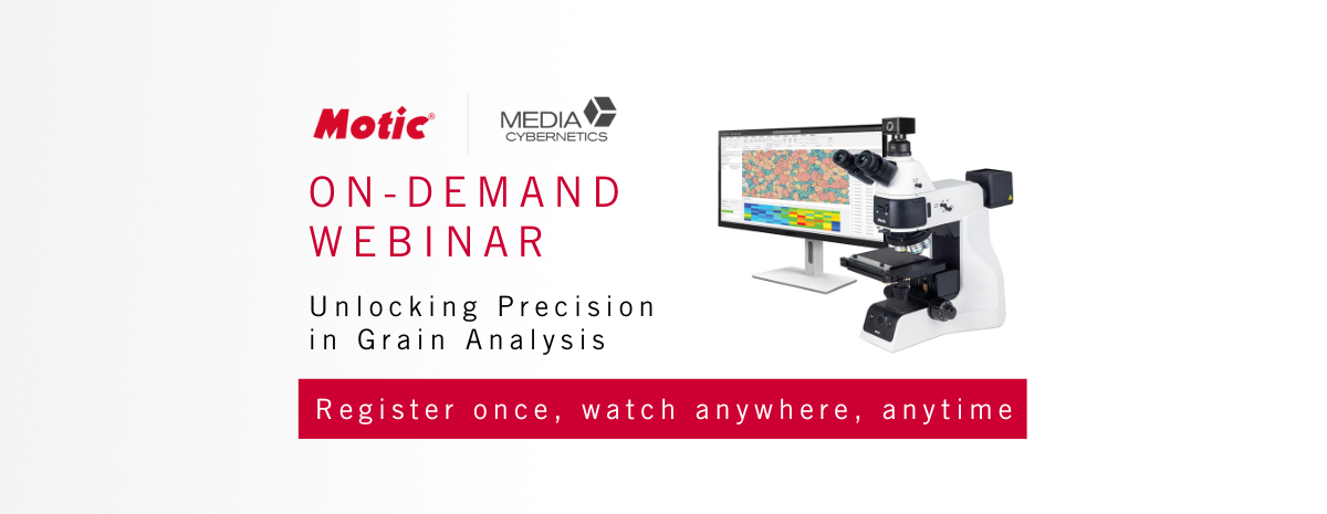 Missed Our Grain Analysis Webinar? Watch On-Demand Until September 30 ...