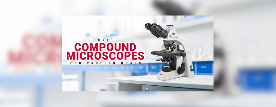 Best Compound Microscopes for Professionals | Motic Microscopes