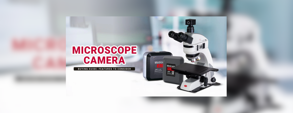 Microscope Camera Buying Guide: Features to Consider – Motic Microscopes
