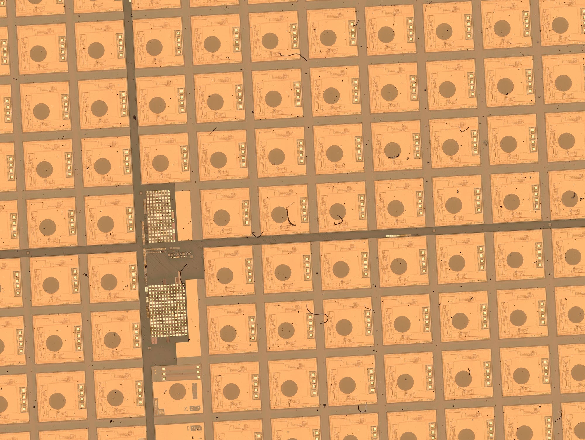 Easy Macro Imaging - Automated Tiling Using a Motorized Stage – Motic ... Easy Macro Imaging - Automated Tiling Using a Motorized Stage – Motic ...