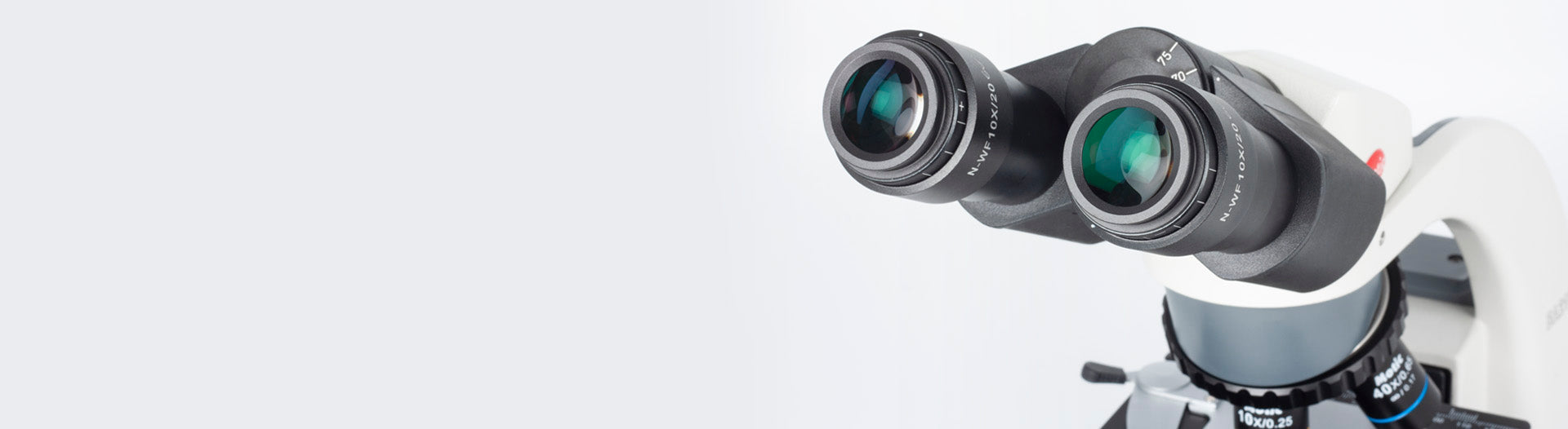 Eyepieces – Motic Microscopes
