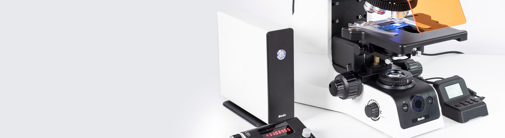 Fluorescence – Motic Microscopes