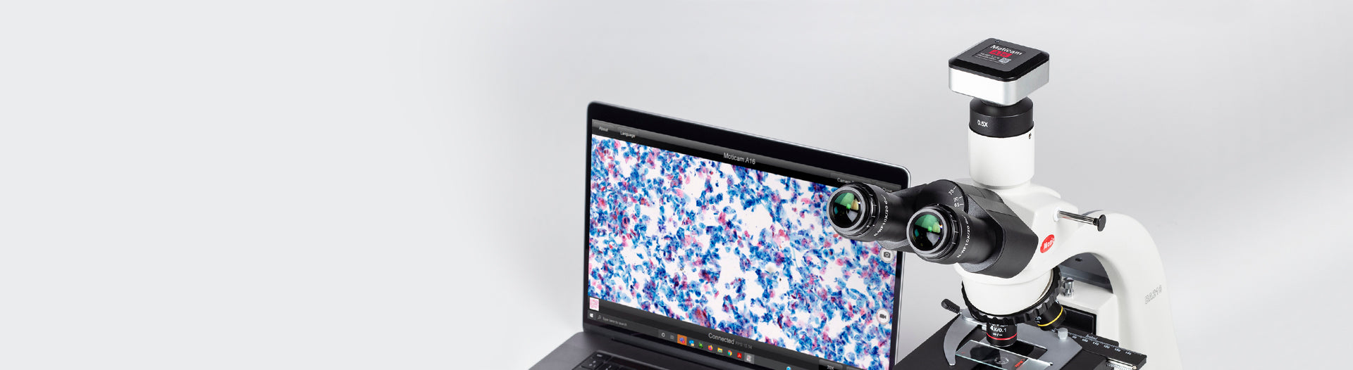USB Cameras – Motic Microscopes