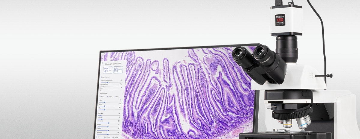 HDMI Cameras – Motic Microscopes