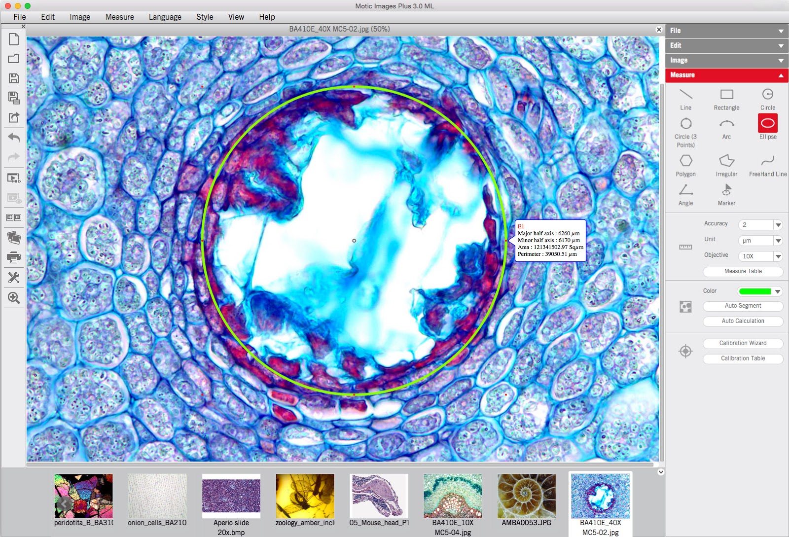 Motic Images Plus 3.1 Advanced (Includes USB Dongle) – Motic Microscopes