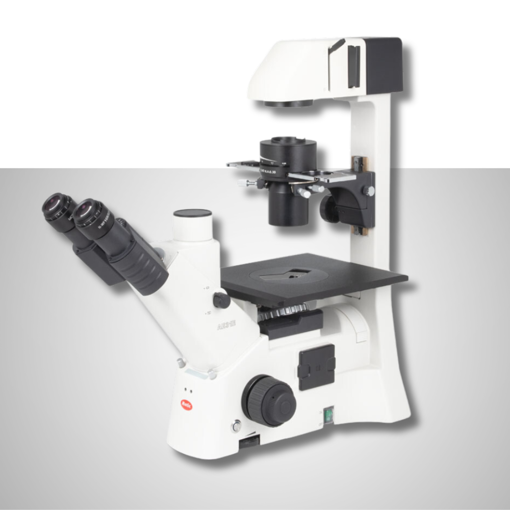 Educational Application | Motic Microscopes