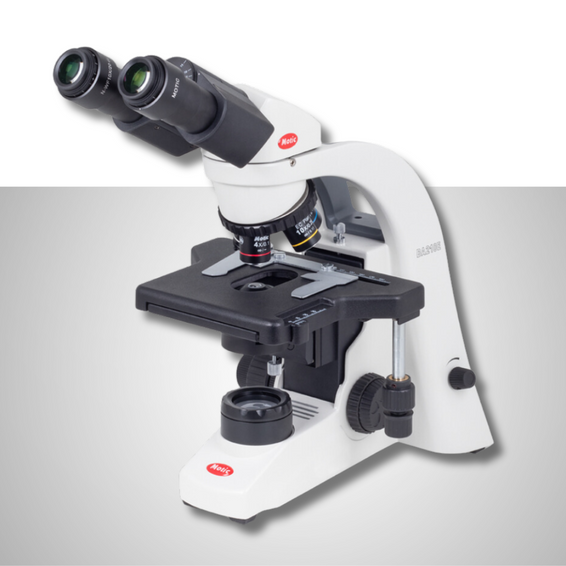 Educational Application | Motic Microscopes