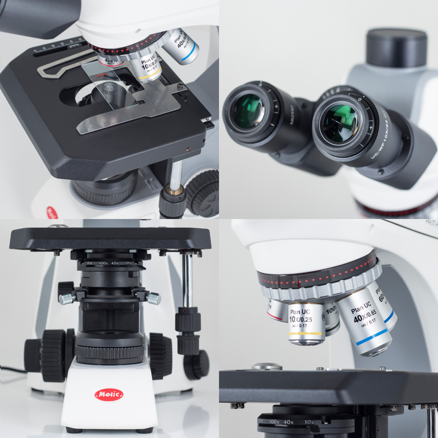 Panthera C2 with TRITC Filter Fluorescence Bundle | Motic Microscope ...