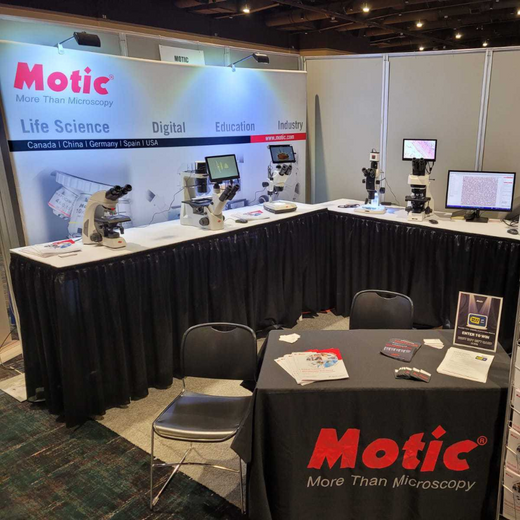 Stereo Microscopes | Motic Microscopes