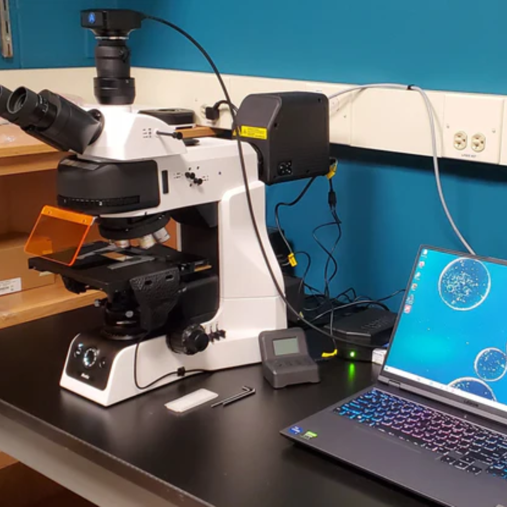 Stereo Microscopes | Motic Microscopes